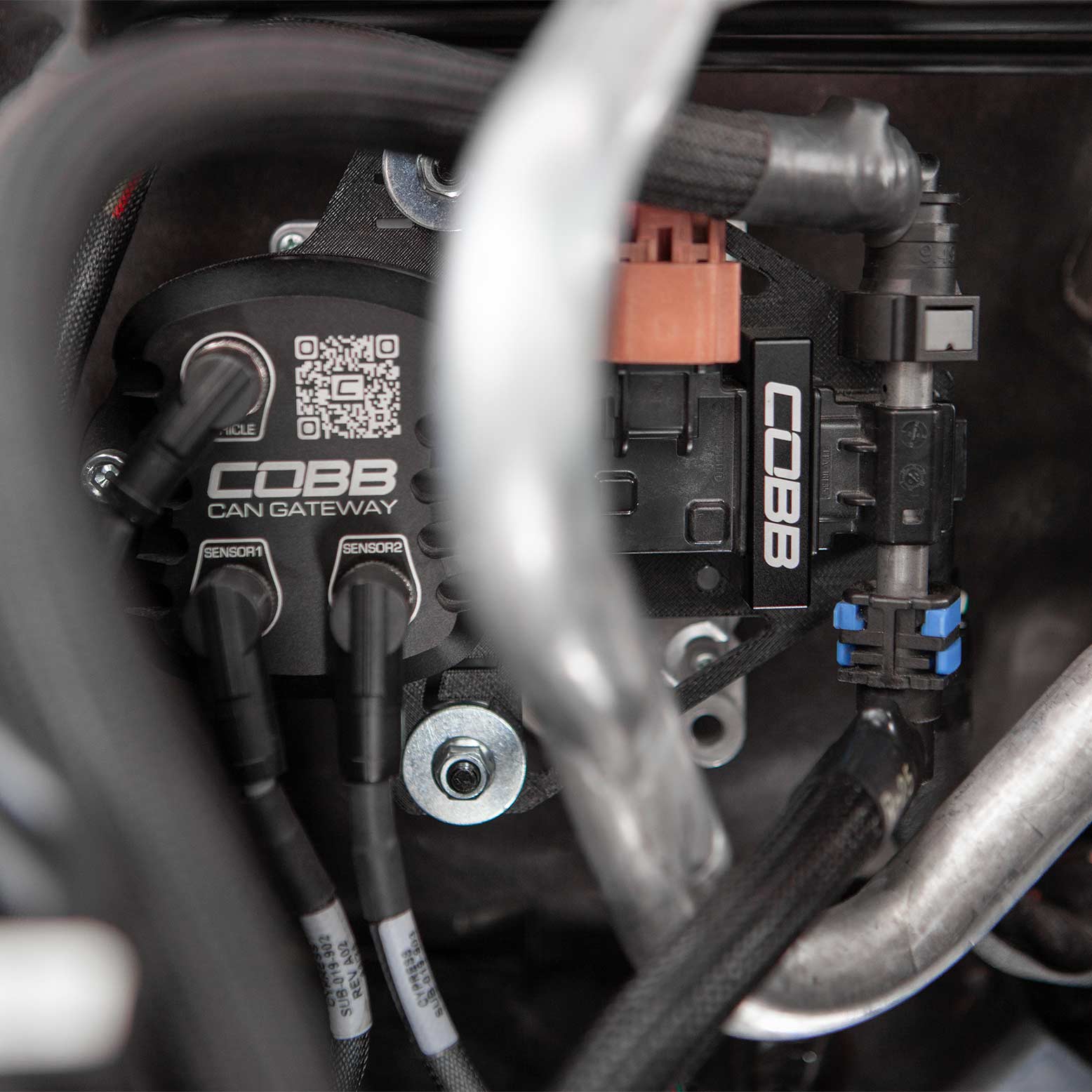 COBB Tuning - Subaru CAN Flex Fuel Upgrade Ascent, Outback XT ...