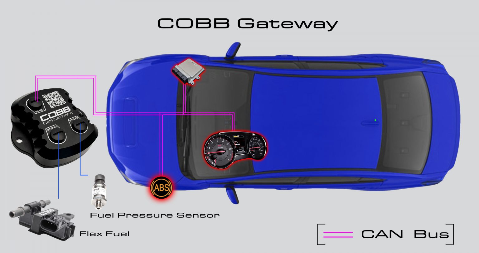 CAN Gateway for Subaru - COBB Tuning